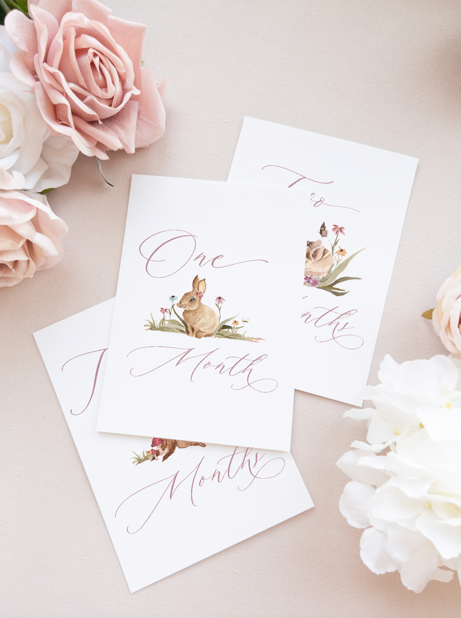 Products – JC Paper & Co.